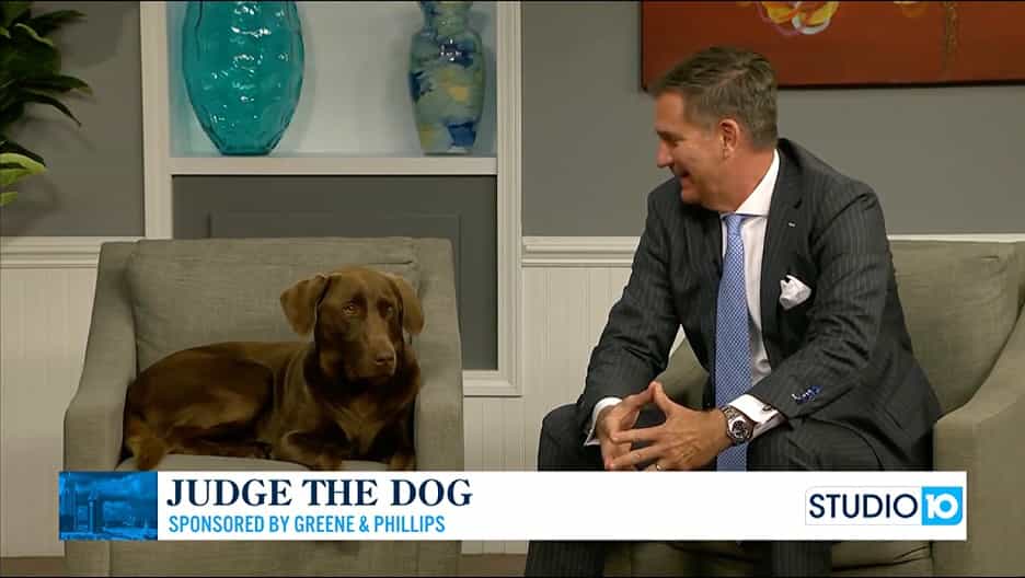 Have You Met “The Judge?” – Studio 10 - Greene & Phillips Personal ...